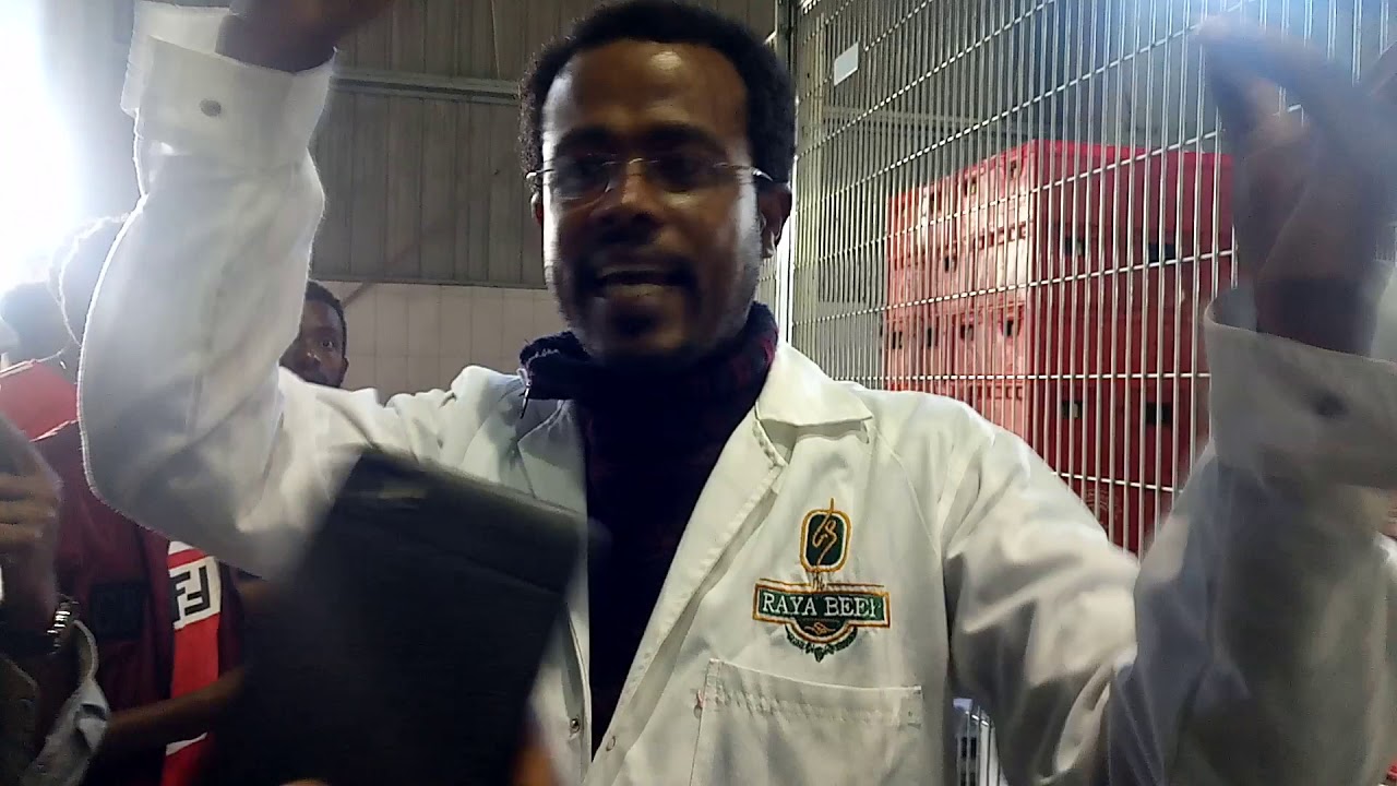 Raya brewery trip - YouTube