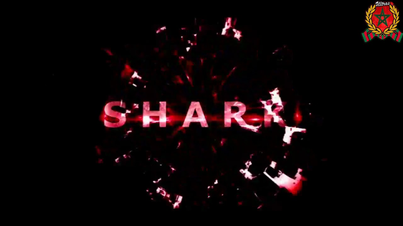 VÍDEO- ULTRAS SHARK FAMILY🥁 - YouTube