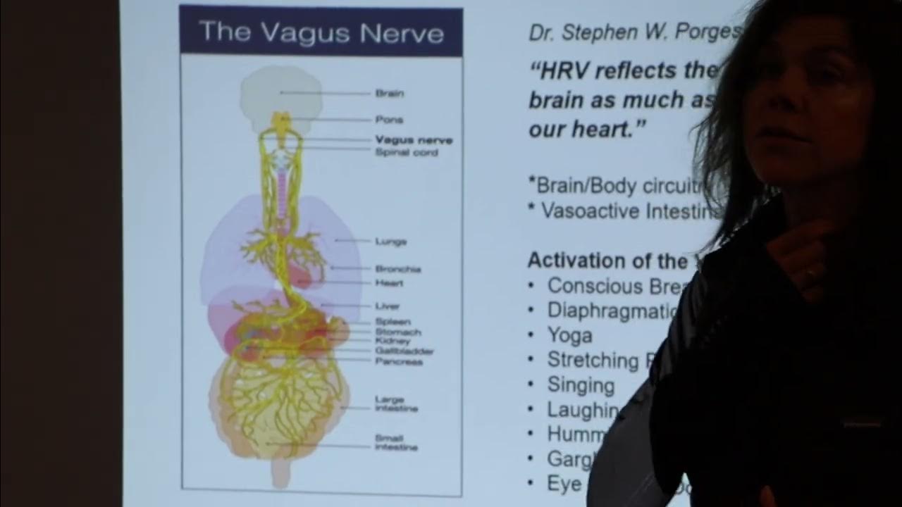 Week 2 Part 1 - YouTube