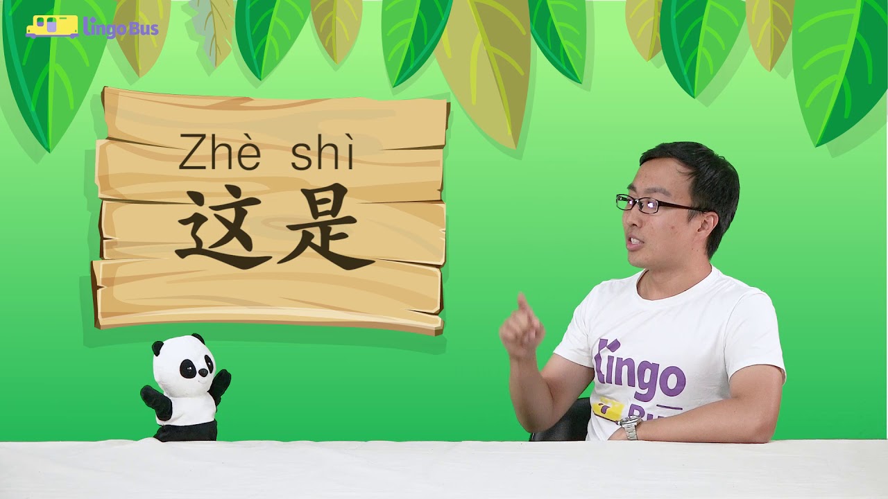 What Color is This? Part 1 | Learn Mandarin with Lingo Bus' Panda - YouTube