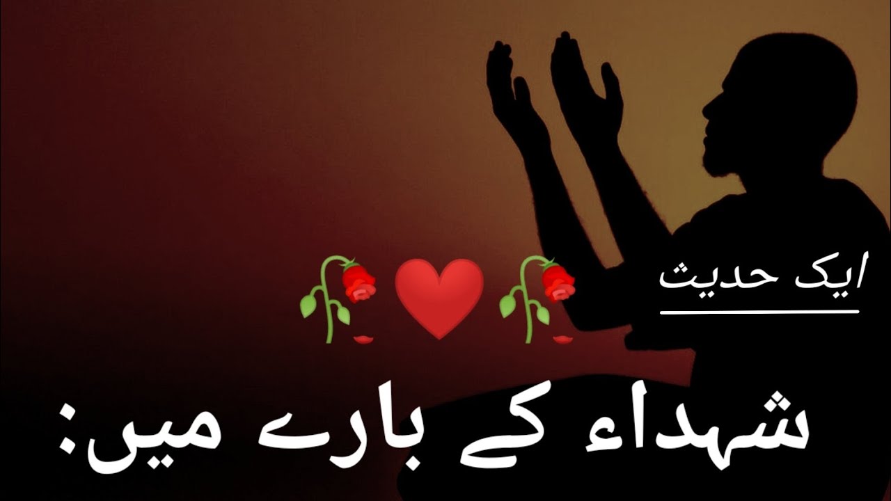 Shaheed (Martyr) In Islam ️| Shaheed Or Iss Ki Types| #islam # ...