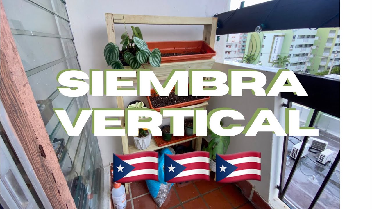 SIEMBRA VERTICAL 🔨 |🇵🇷 AGRICULTURA PUERTO RICO | HUERTO CASERO 🪴 - YouTube