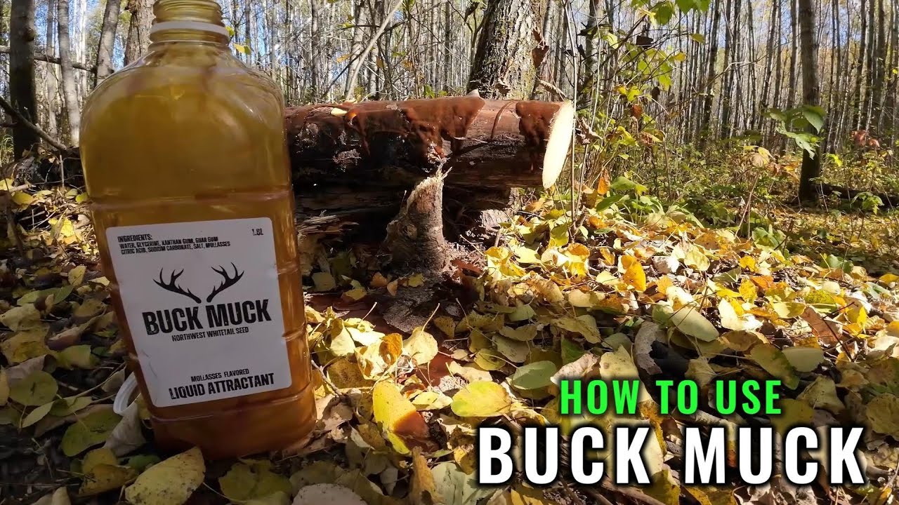 How to use BUCK MUCK Deer Liquid Attractant - YouTube