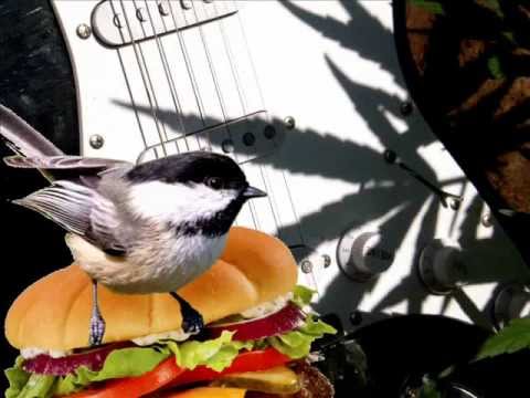 (Just Like the) Cheeseburger Bird - YouTube