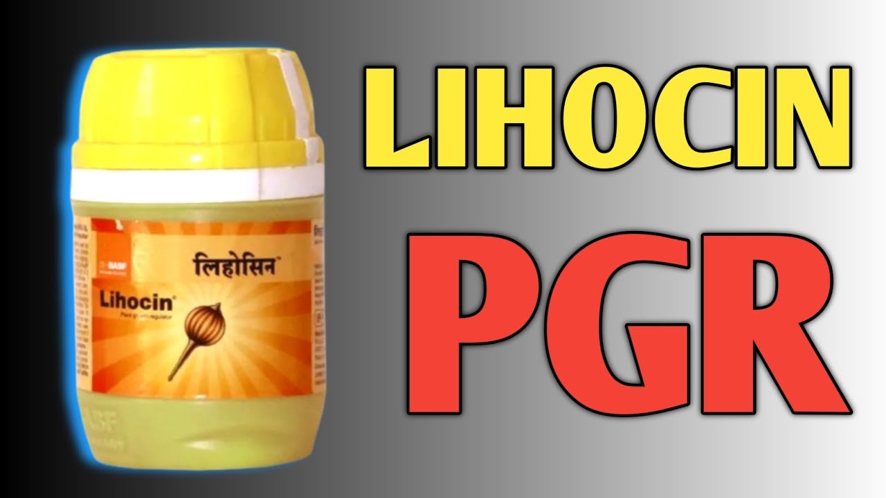 LIHOCIN - Best PGR For Vegetative Growth Control | BASF | पौधों में ...
