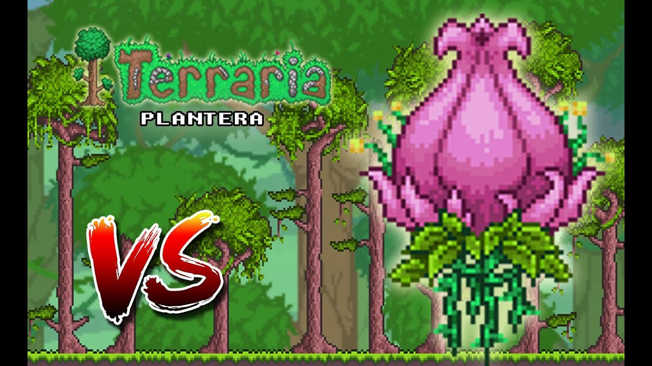 Beating Plantera Youtube