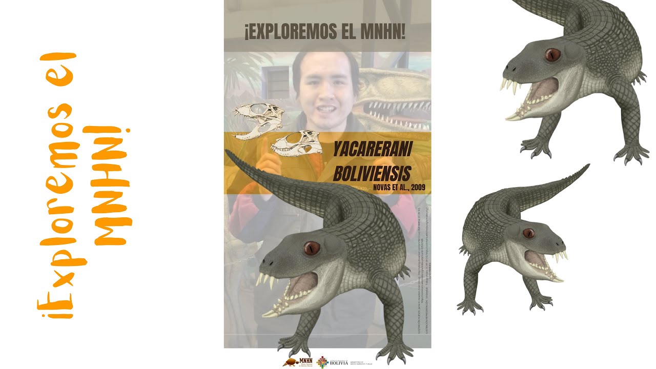 YACARERANI BOLIVIENSIS-Cocodrilos del Pasado Cap. 5 Explorando el MNHN ...
