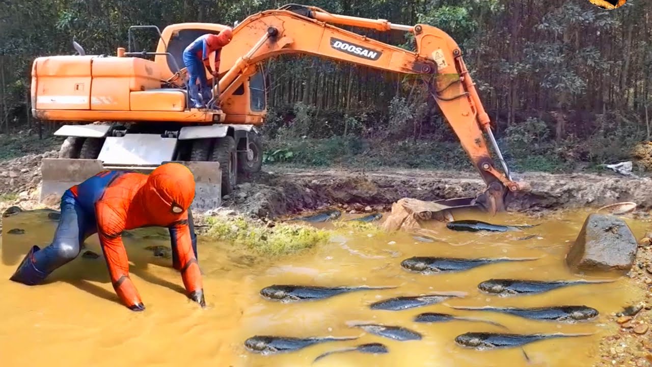 SUPER HERO | Spider-Man Catches Giant Fish With Excavator | VTQN ...