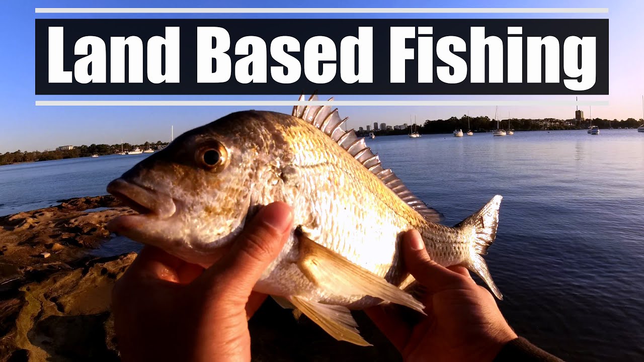 Land Based Fishing - EcoGear ZX 35 - OSP Bent Minnow - Berkley Shimma ...