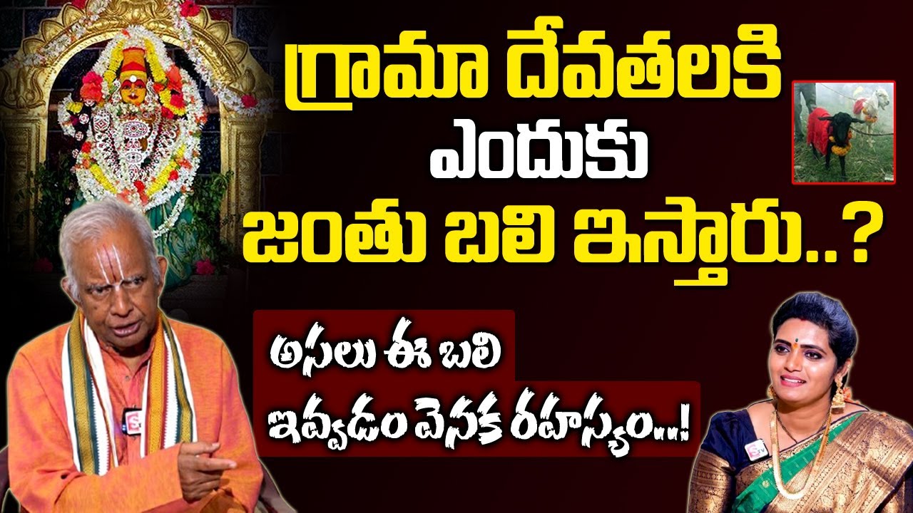 గ్రామా దేవతలకి ఎందుకు జంతు బలి ఇస్తారు.. | Fact Behind Janthu Bali ...