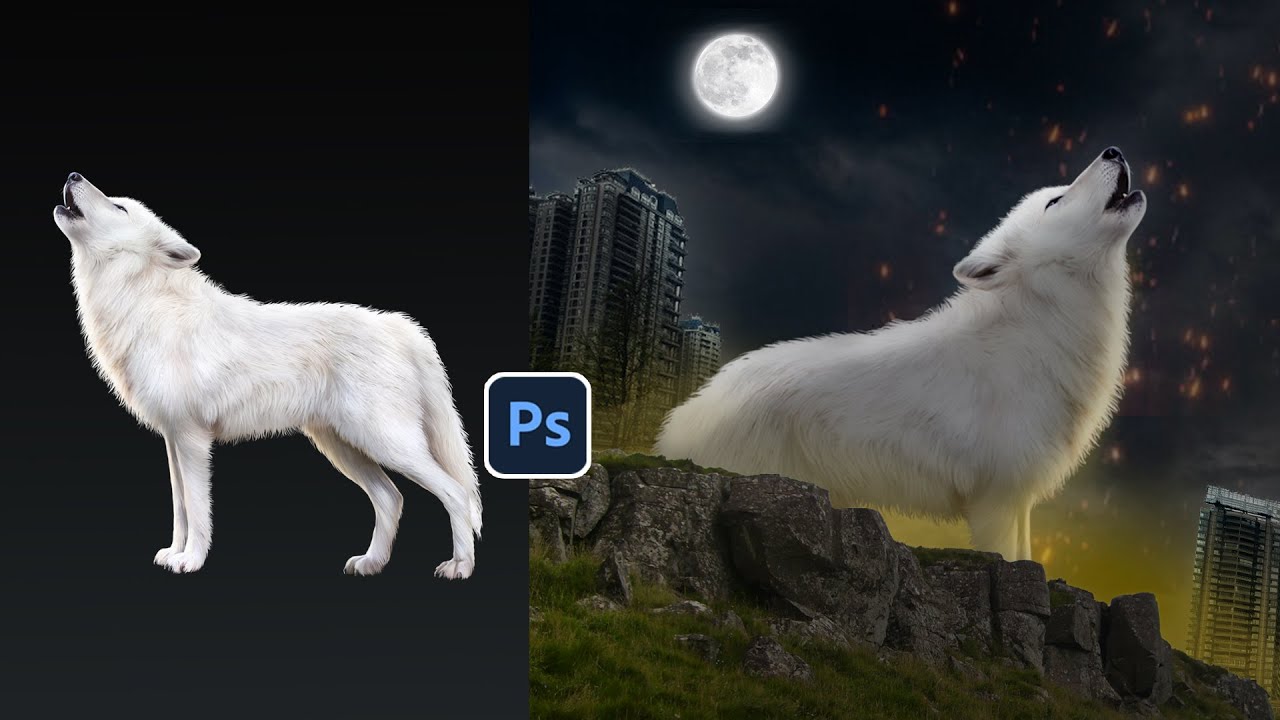 Transform Your Photos Like a Pro: Easy Photoshop Manipulation Tips and ...