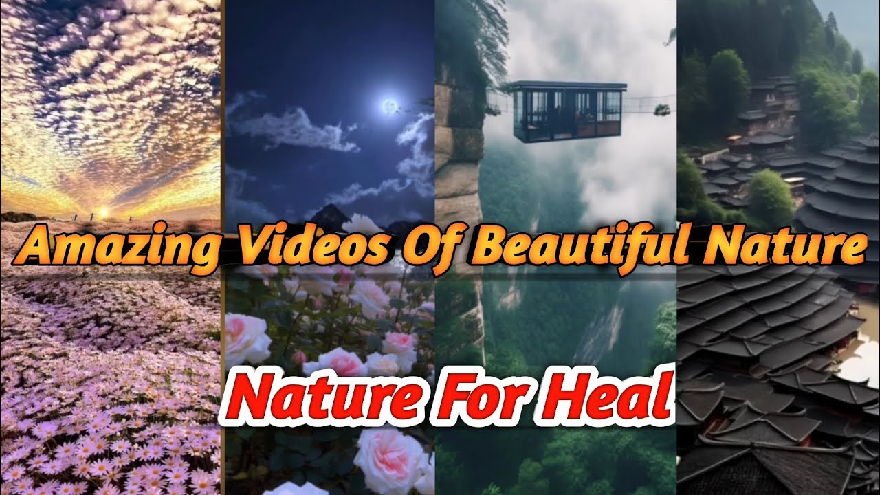 Amazing Videos Of Beautiful Nature | Nature For Heal | Part -1 #nature ...
