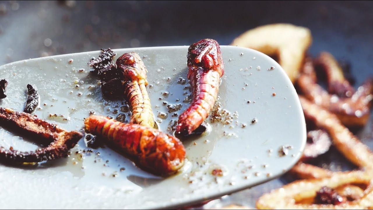 Grasshoppers | Catch and Cook - YouTube