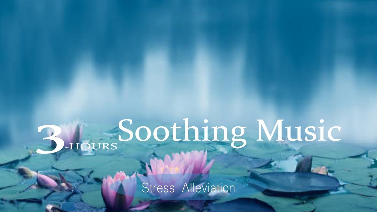 Unwind with 3 hours of soothing music to alleviate stress and improve ...