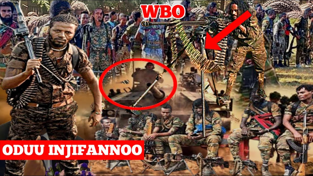 ODUU Hatattamaa Lola guutuu WBO, PP fi Fanoo irratti Injifannoo WBO ...