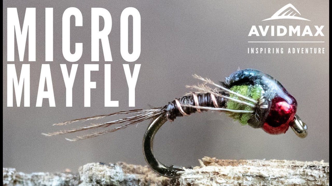 How to tie the Micro Mayfly | AvidMax Fly Tying Tuesday Tutorials - YouTube