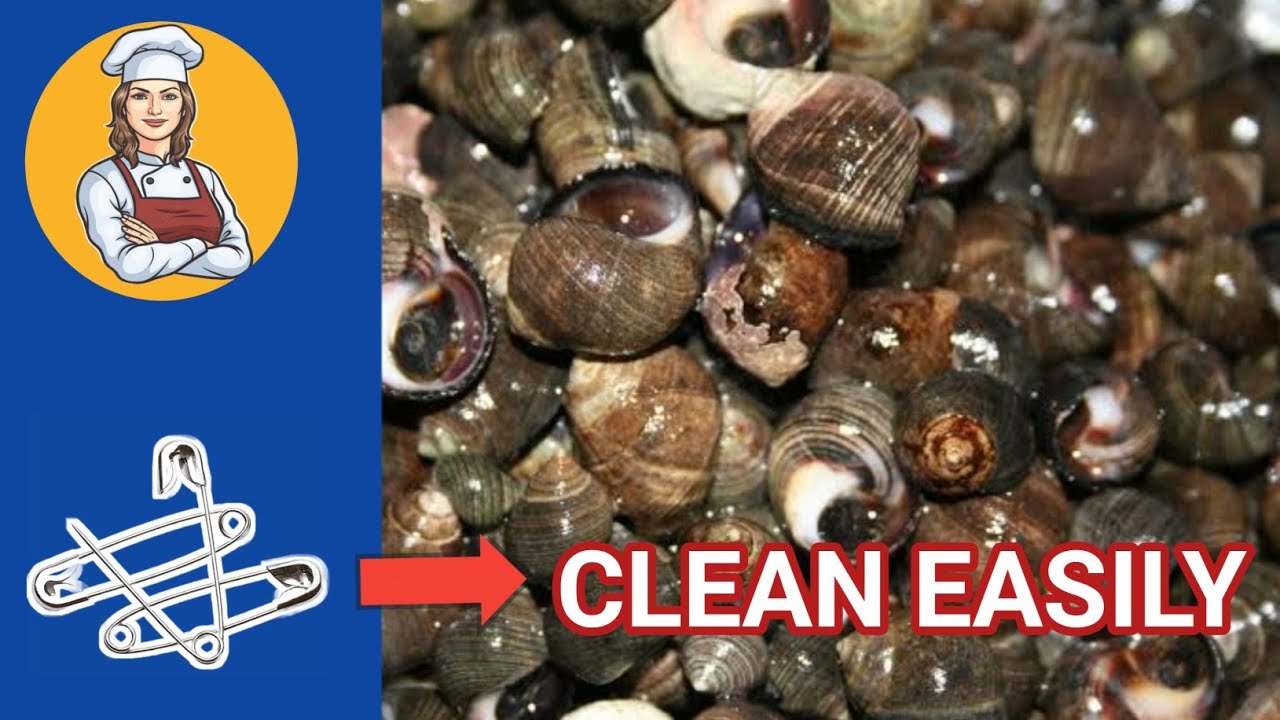 How To Clean Periwinkles || How to Clean Geri Gugli || গেরী ছাড়ানোর ...