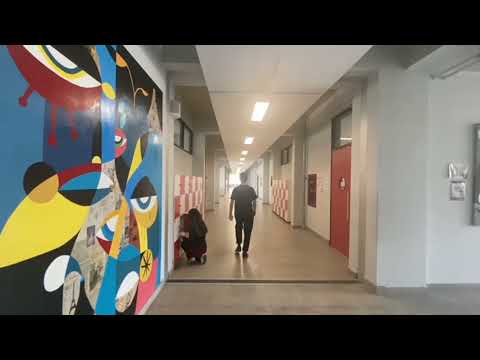 WhatsApp Video 2025 11 01 at 22 58 14 1