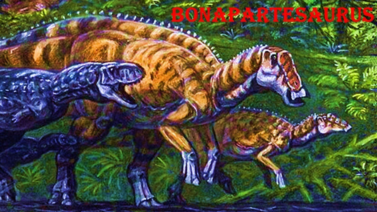 bonapartesaurus - YouTube