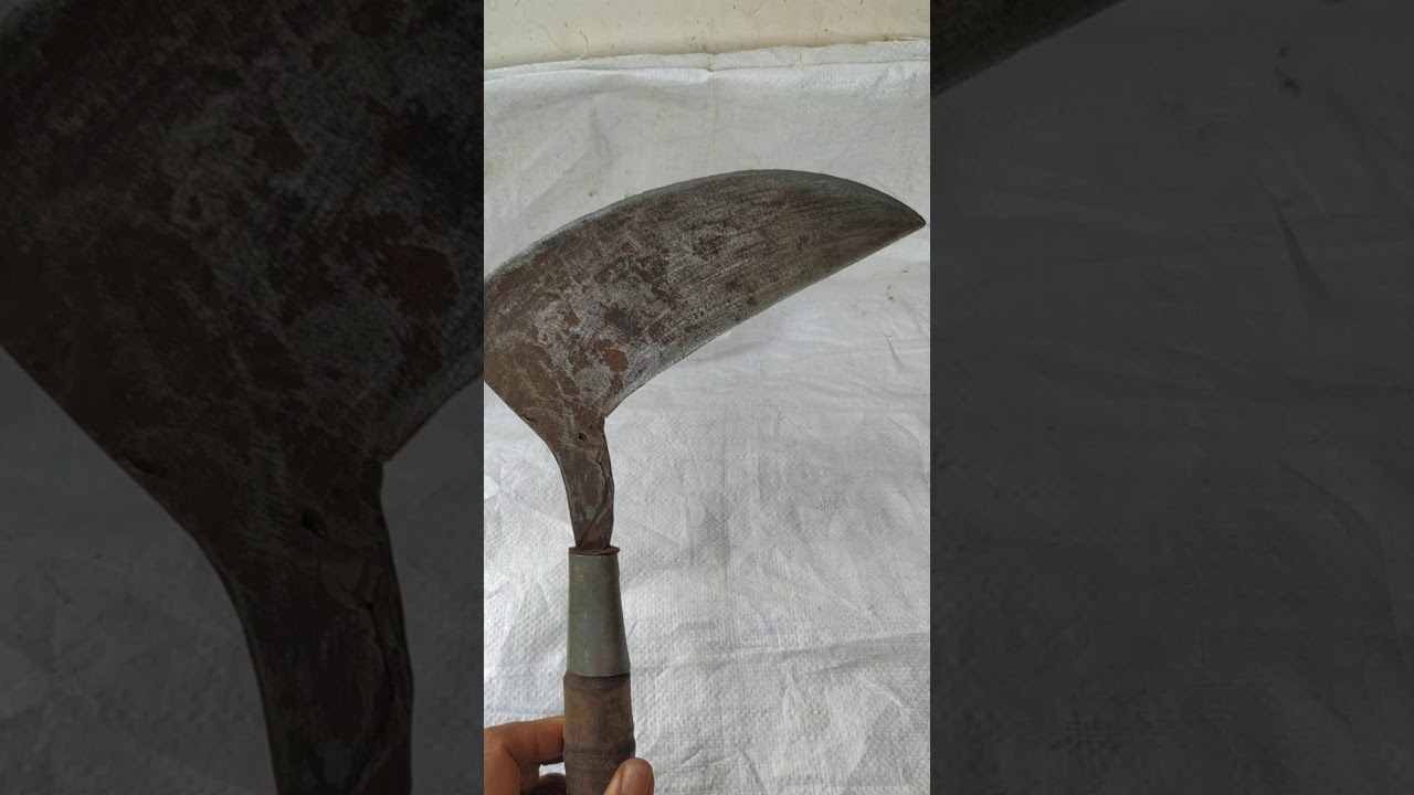 Arit Cengkrong Susruk Tajam Untuk Mencari Rumput Dan Bersih Bersih ...