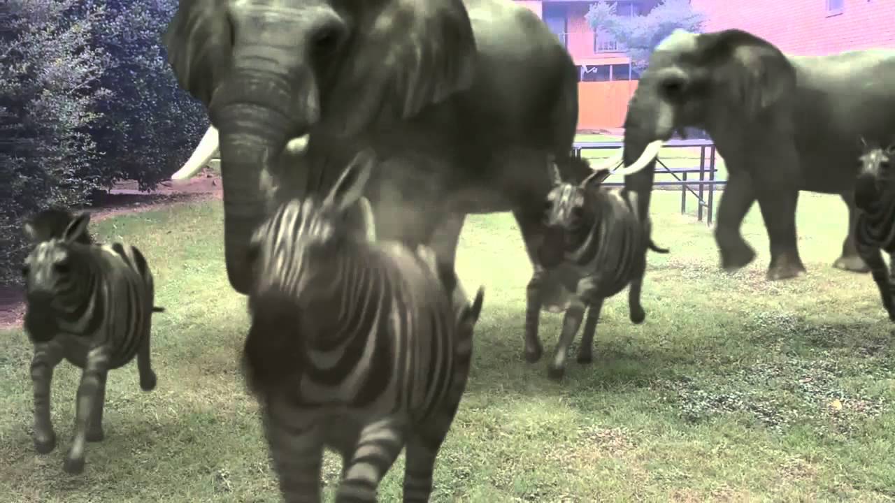 Fx guru zoo escape - YouTube