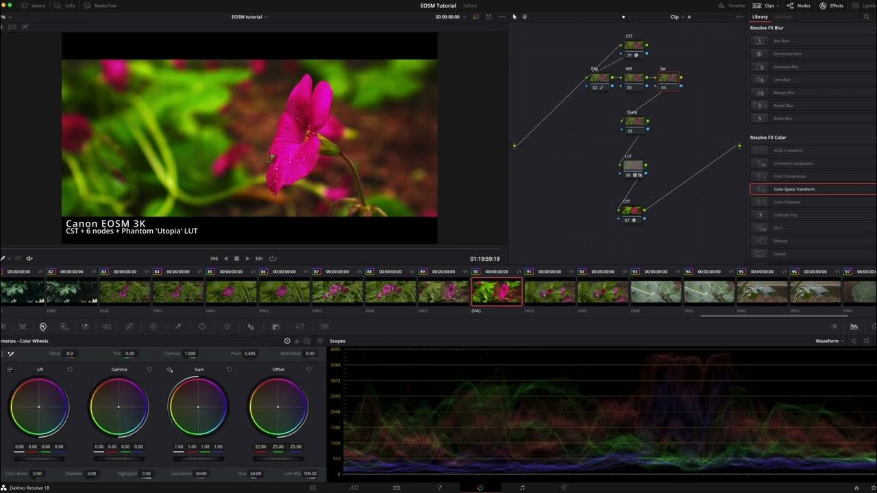 Canon EOSM RAW Workflow | Davinci Resolve Tutorial | 4k - YouTube