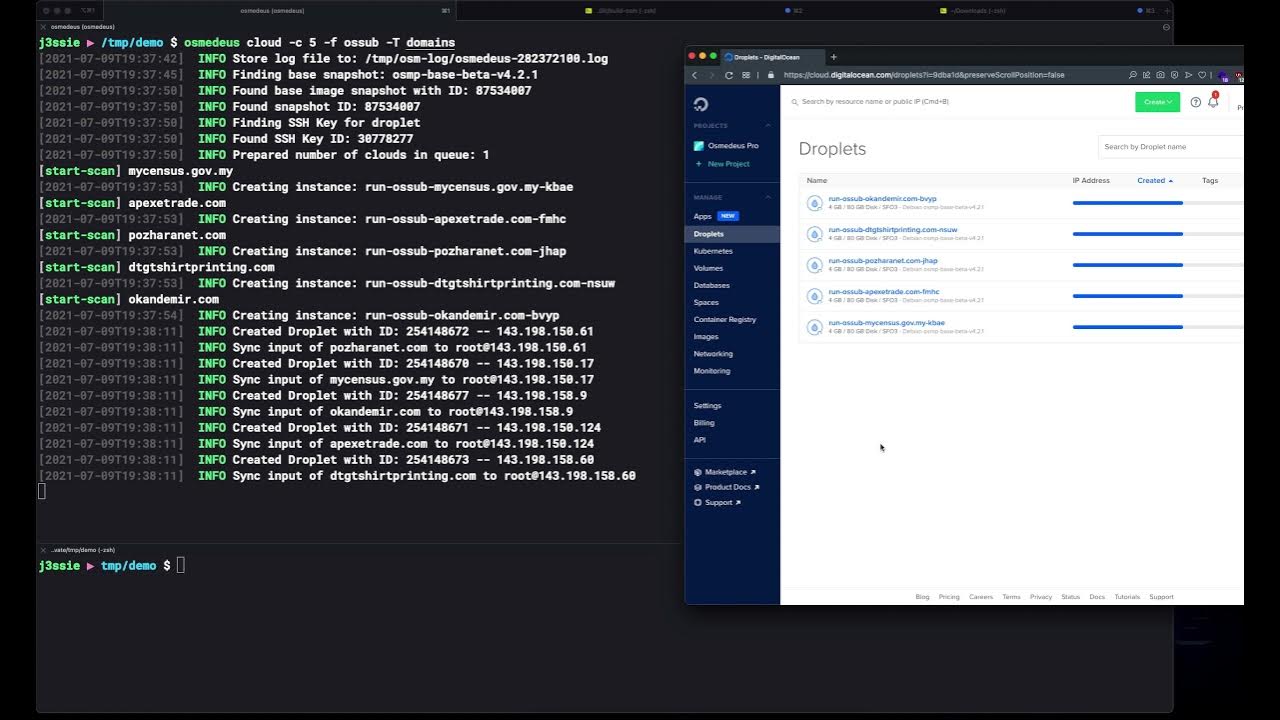 Osmedeus Professional Distributed Scan - YouTube