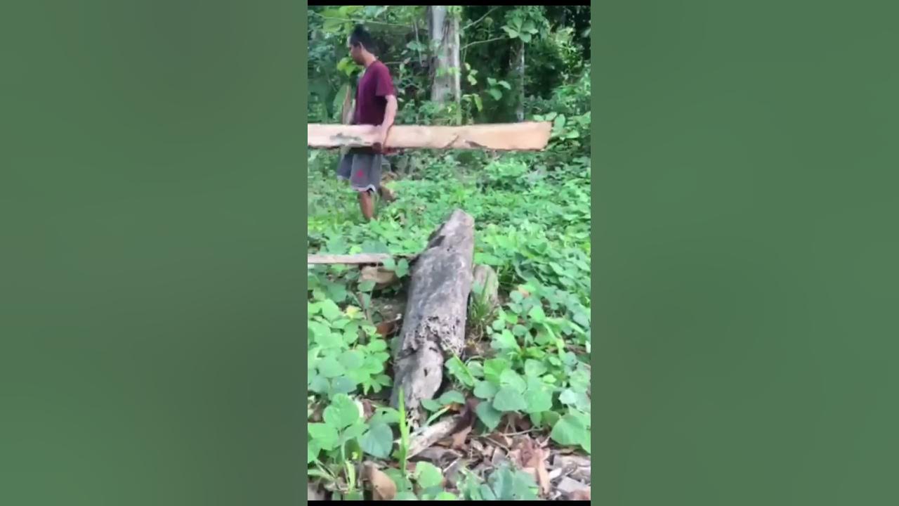 linis ng bakuran buhay probinsya - YouTube