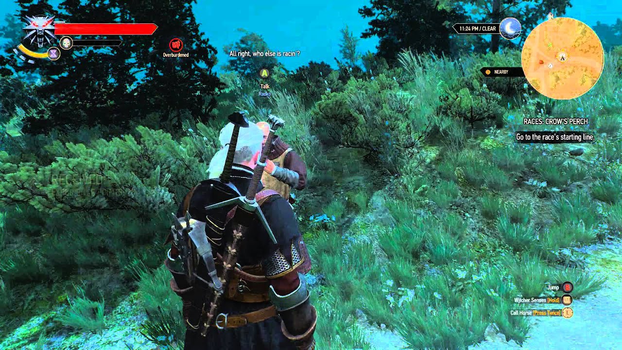 The Witcher 3 Wild Hunt - Races: Crow's Perch Quest - YouTube