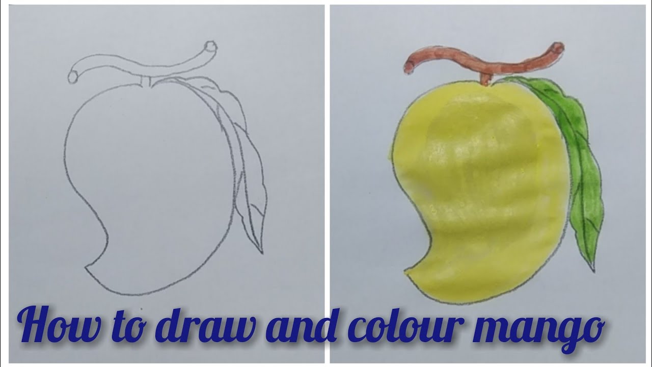 How to draw and colour mango step by step// Mango colour and drawing ...