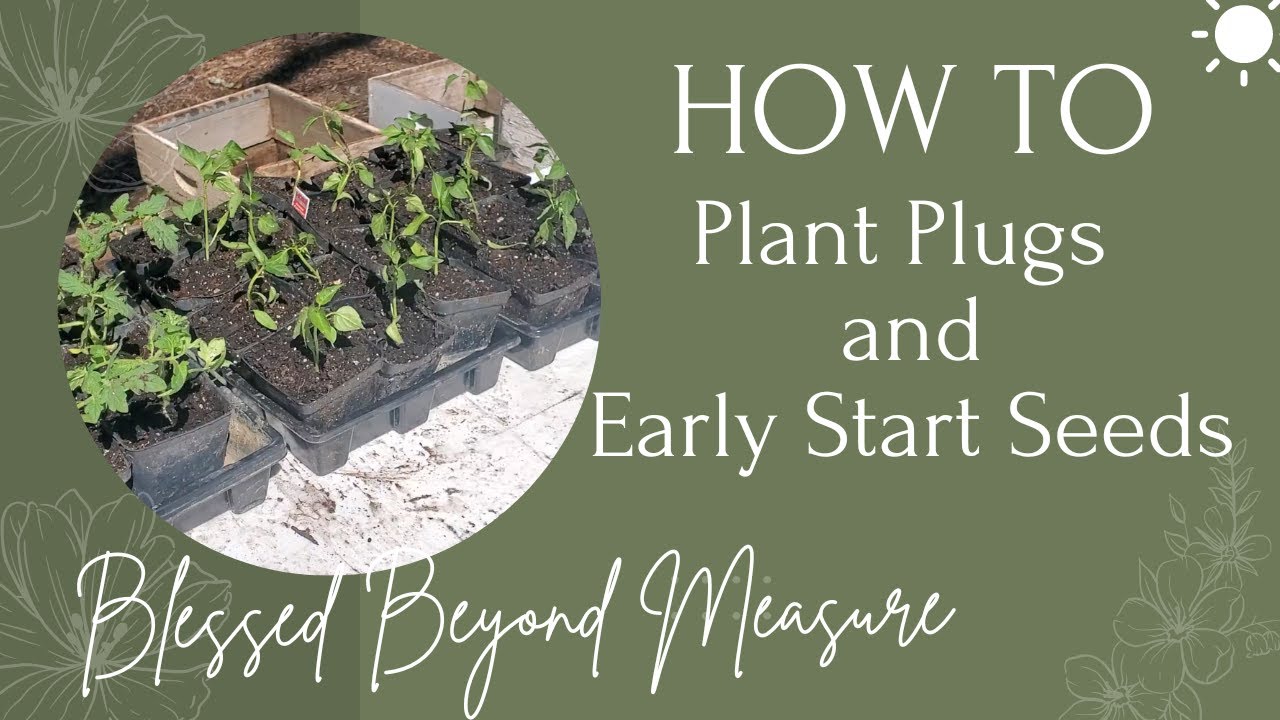How to Plant Plugs and Seeds - YouTube