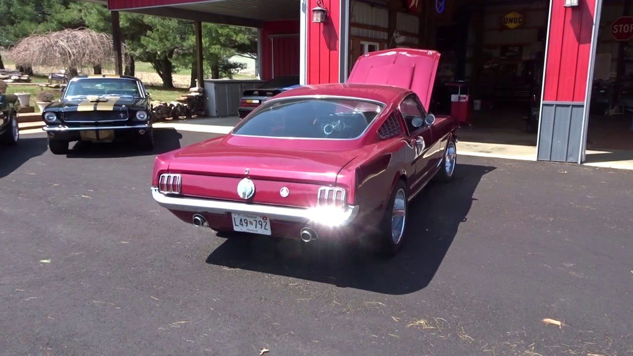 Mortimer we're back! - YouTube