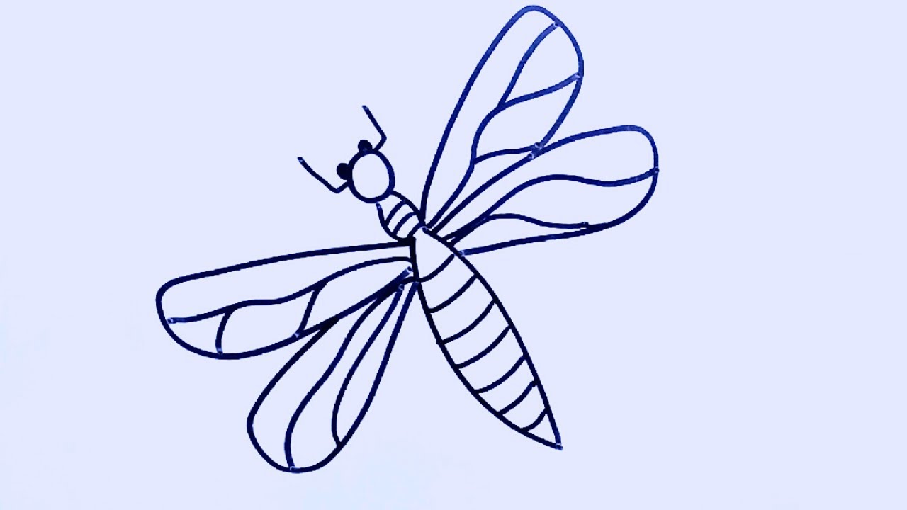 How To Draw Dragonfly Step By Step |Dragonfly Drawing |Draw Dragonfly ...