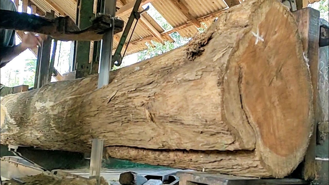 sawing old teak logs into door frame beams at the sawmill - YouTube