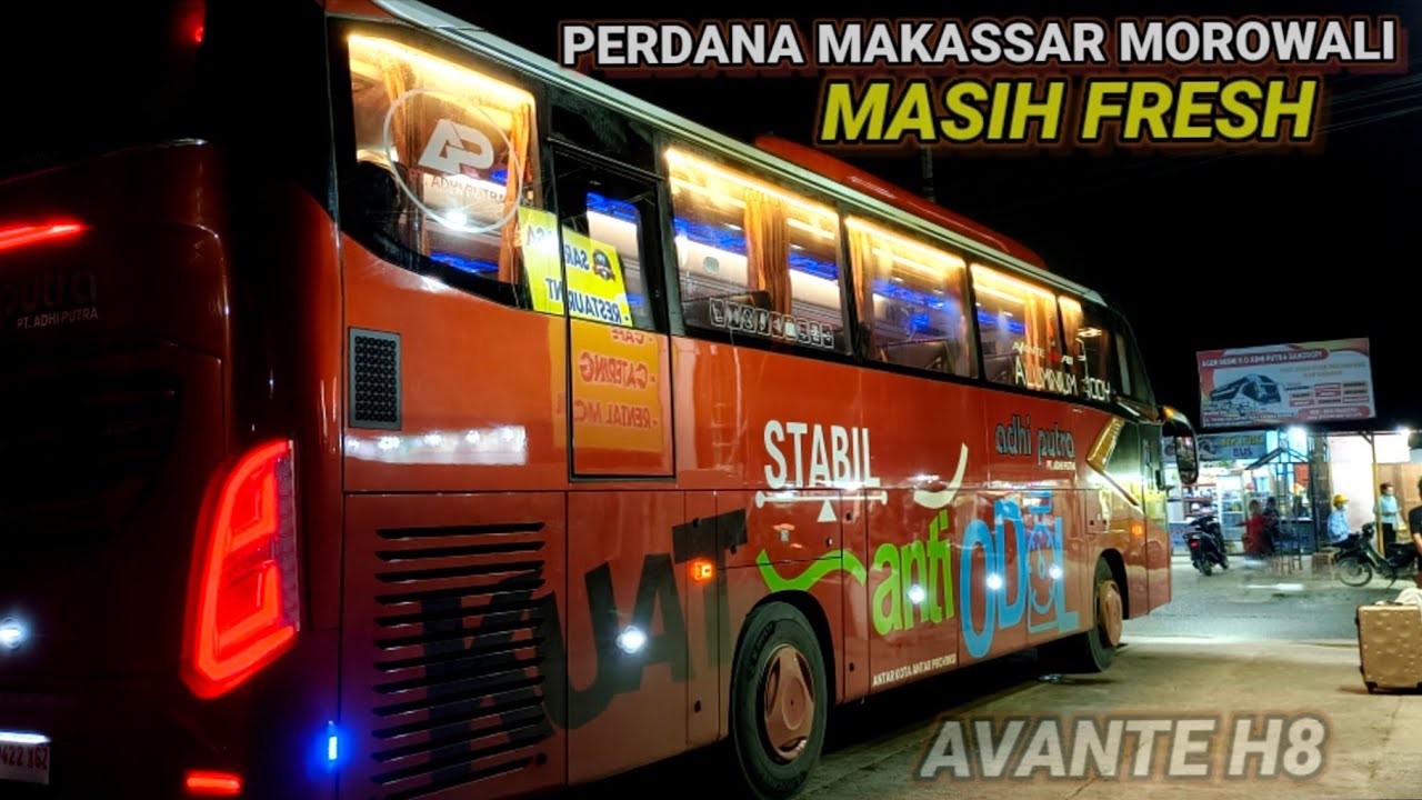 BUS TERBARU ADHI PUTRA AVANTE H8 | Perdana makassar - Morowali senyaman ...