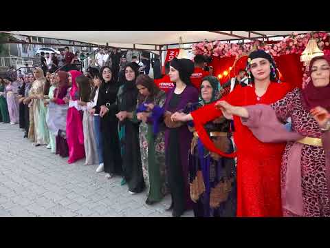 Dilan & Vahit | Hakkari Düğünleri | Aşiret Düğünü