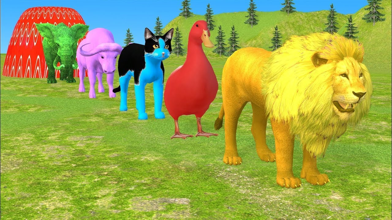 Long Slide Game Fun With Lion Hippo Elephant Cow Tiger Buffalo - 3D ...