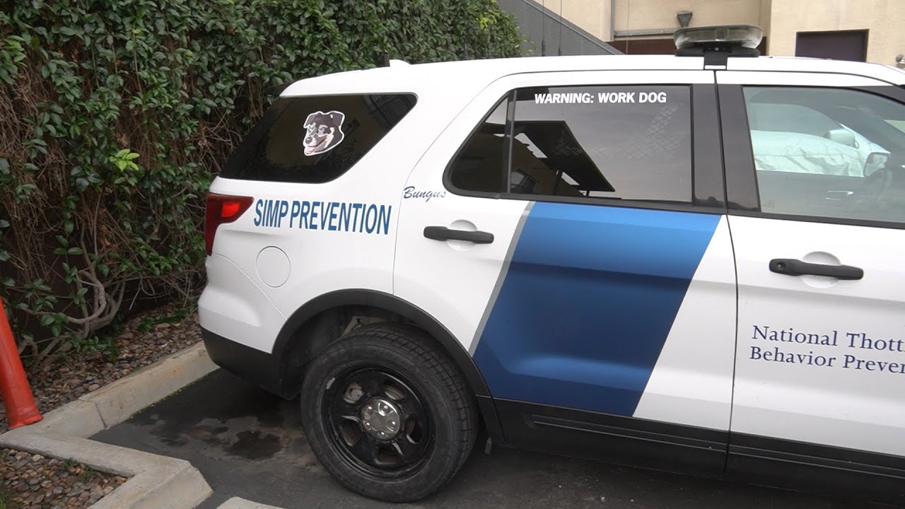 Simp Prevention Explorer, Ghost Graphics, and the World's Most Chaotic ...