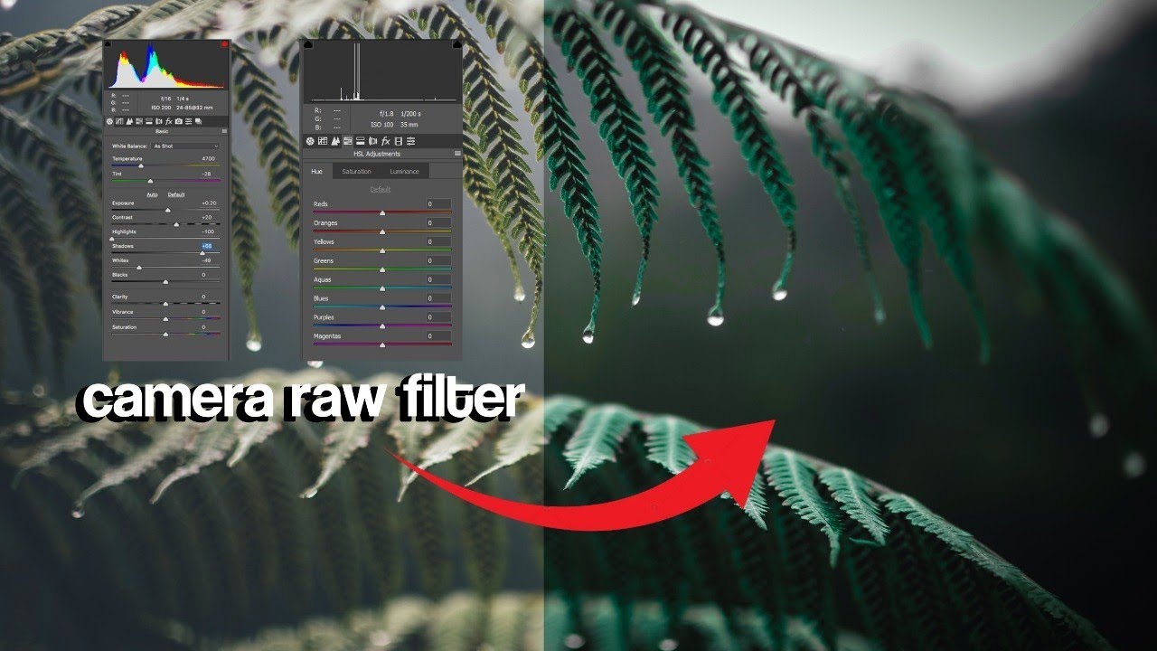 how to use camera raw filter in photoshop | Camera Raw filter Malayalam ...