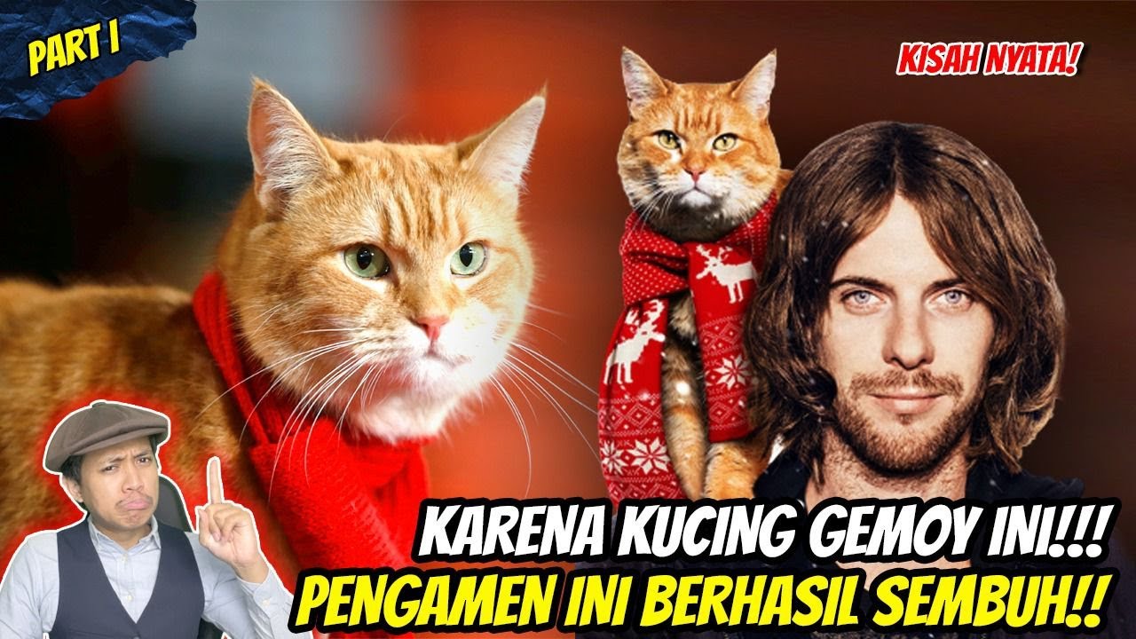KISAH NYATA! GEMBEL JADI SULTAN SETELAH KETEMU KUCING OREN INI! | Alur ...