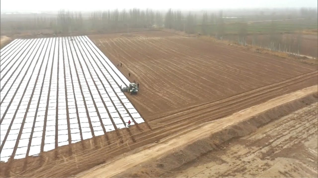 High-tech farming methods showcased in Xinjiang as spring cotton sowing ...