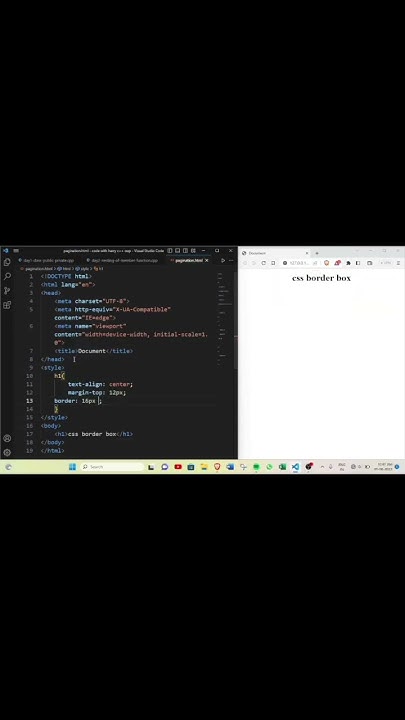 Css Double Border Css Solid Black Border Css3 Shorts Short Viral Youtube