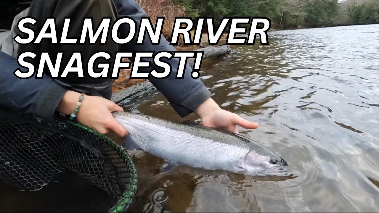 Snagger’s Paradise. Fishing NY’s Salmon River steelhead. - YouTube