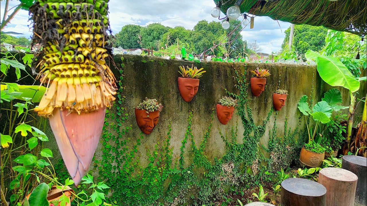 FACE POTS (WALL POTS) 🌿😊 - YouTube