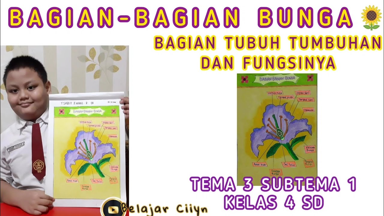 BAGIAN-BAGIAN BUNGA 🌻 || BAGIAN TUBUH TUMBUHAN 🌲- TEMA 3 SUBTEMA 1 ...