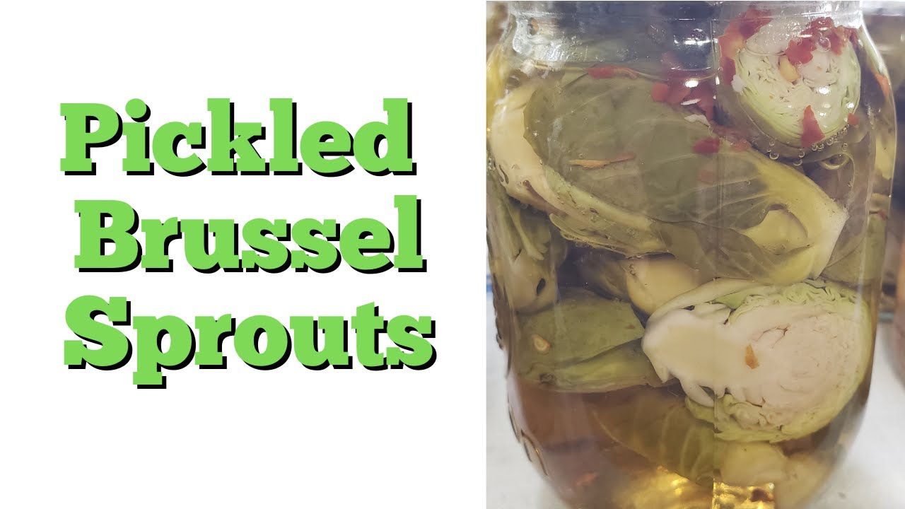 Frog Balls!! - How To Pickle Brussel Sprouts - YouTube