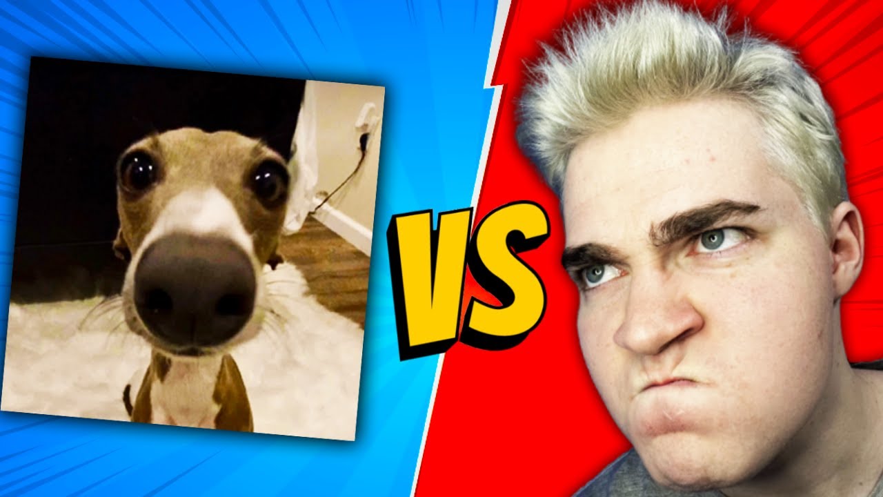 VESHREMY roasted me.. (my full response) - YouTube