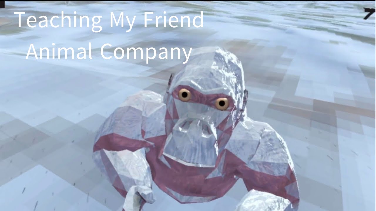 Teaching My Friend Animal Company! - YouTube