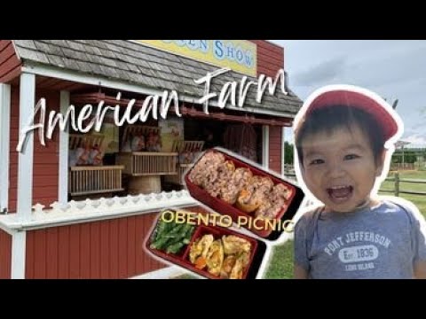 Picnic preparing | Japanese Obento | Holiday american Farm (Open CC)